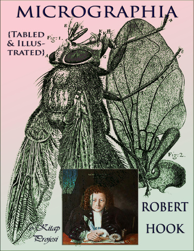 Micrographia Definition