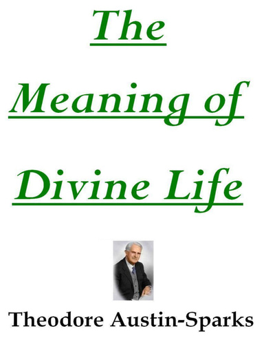 The Meaning of Divine Life