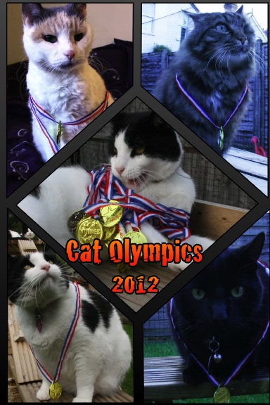 CAT OLYMPICS 2012 CAT OLYMPICS 2012