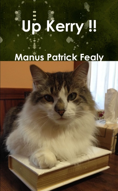Up Kerry