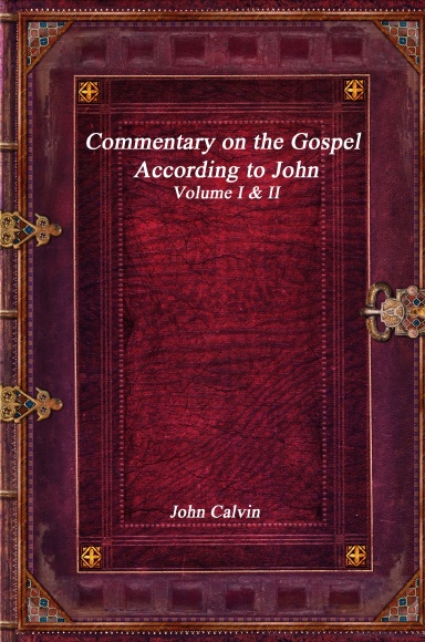 Commentary on the Gospel According to John