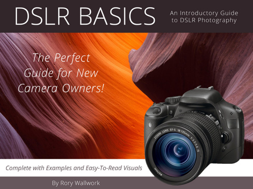 DSLR Basics - An Introductory Guide to DSLR Photography