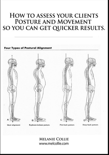 Posture Assessments Part Two - Using the Brain