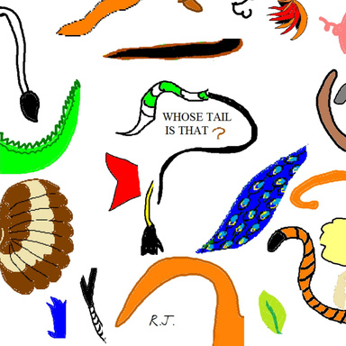 Whose tail is that?