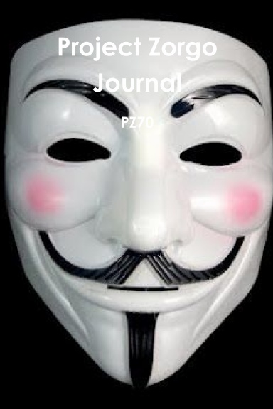 Project Zorgo Journal