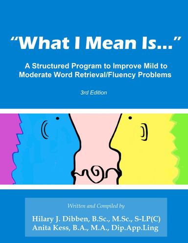 "What I Mean Is..." A Structured Program to Improve Mild to Moderate ...