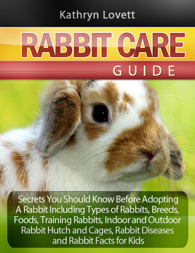 Rabbit Care Guide: Secrets You Should Know Before Adopting a Rabbit ...