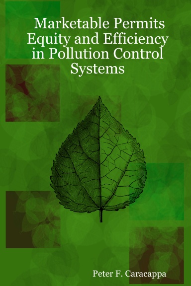 Marketable Permits: Equity and Efficiency in Pollution Control Systems