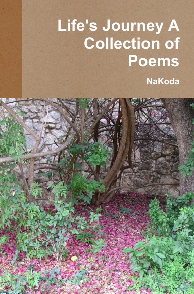 Life's Journey A Collection of Poems