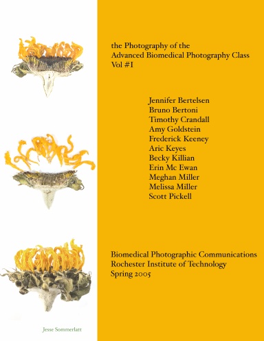 2005 advanced biomedical photography class sample book vol 1