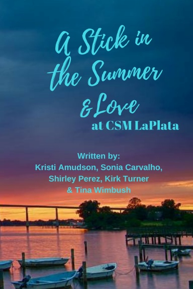 CSM Book Project Spring 2017