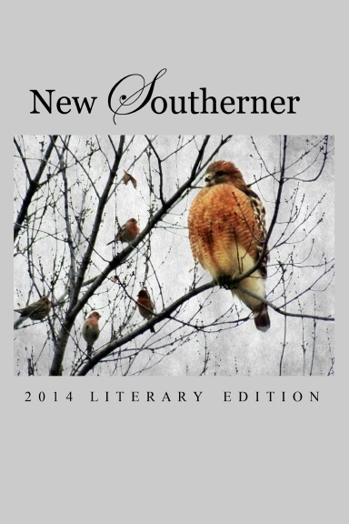 The 2014 New Southerner Literary Edition