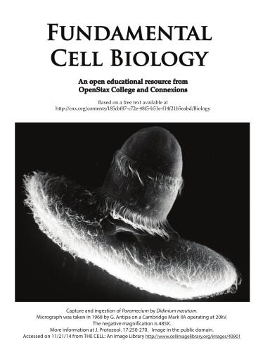 Biology 3: Fundamental Cell Biology