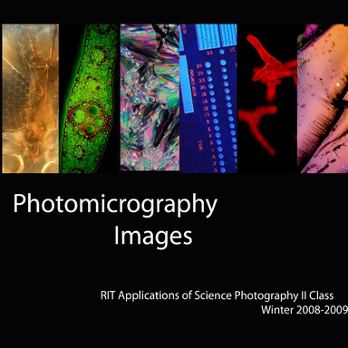 Photomicrography Images