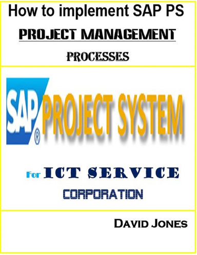 How to Implement Sap Project Management Process
