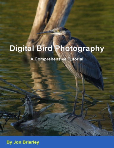 Digital Bird Photography - A Comprehensive Tutorial
