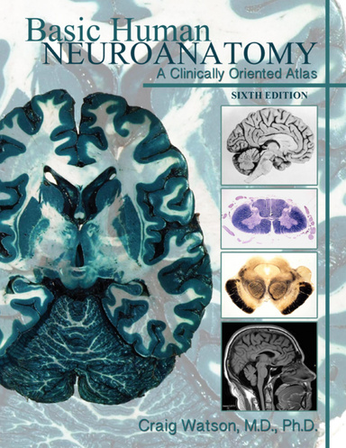 Basic Human Neuroanatomy: A Clinically Oriented Atlas