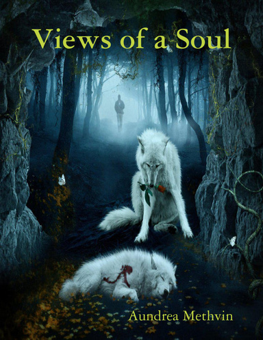Views of a Soul