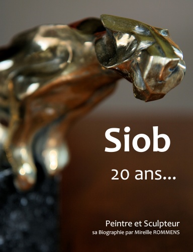 SIOB 20 ans...