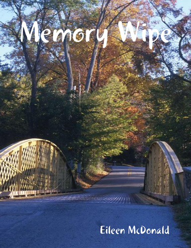 Memory Wipe
