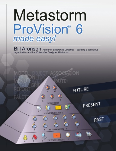 Metastorm ProVision 6 made easy