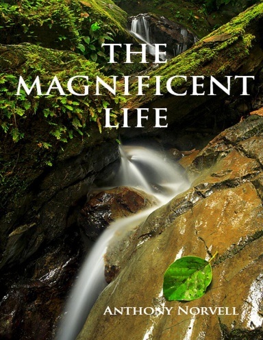 THE MAGNIFICENT LIFE