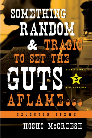 Something Random & Tragic To Set The Guts Aflame - Selected Poems - 3rd ...