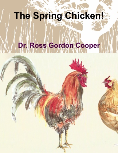 The Spring Chicken!