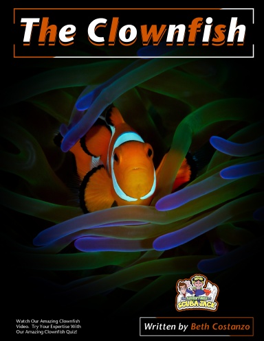 The Clownfish Book