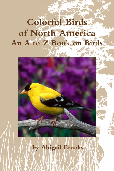 Colorful Birds of North America - An A to Z Book on Birds