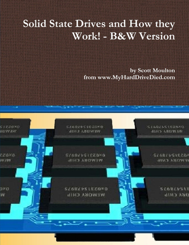 Solid State Drives and How they Work! - B&W Version