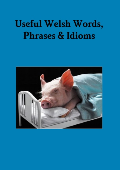 Useful Welsh Words, Phrases & Idioms