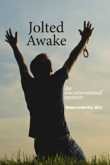 Jolted Awake: An Unconventional Memoir