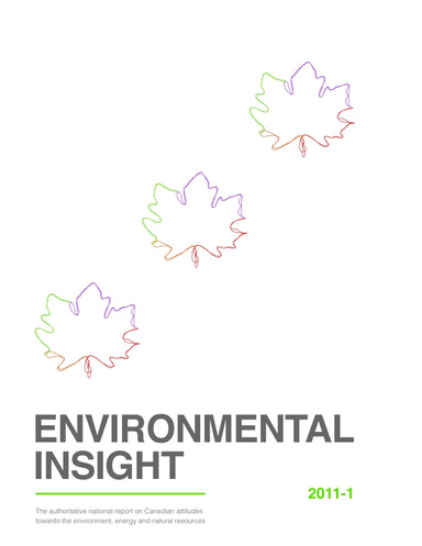 Environmental Insight 2011-1