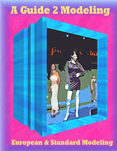 A Guide 2 Modeling, European & Standard Modeling