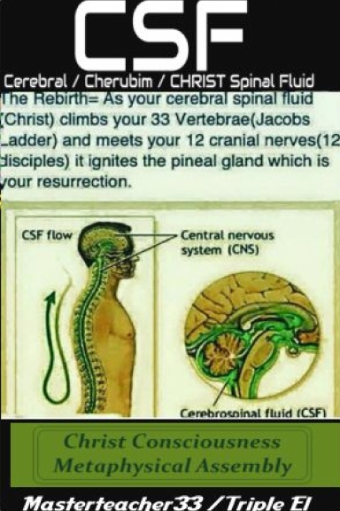 CSF - CEREBRAL / CHERUBIM / CHRIST SPINAL FLUID