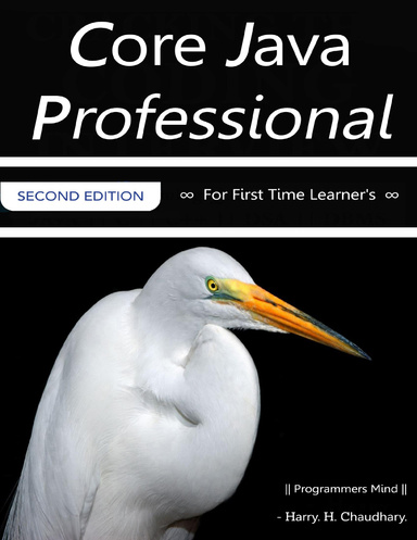 Core Java Professional : For First Time Learner's.