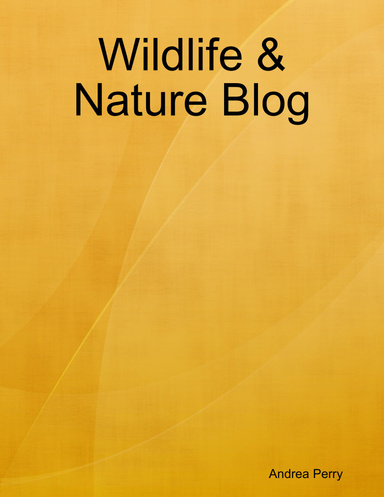 Wildlife & Nature Blog