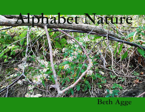 Alphabet Nature