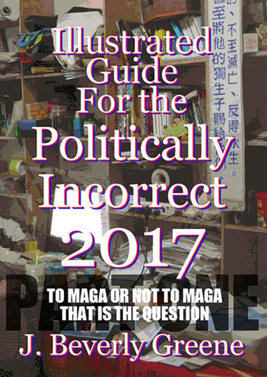 Illustrated Guide for the Politically Incorrect 2017 Part One