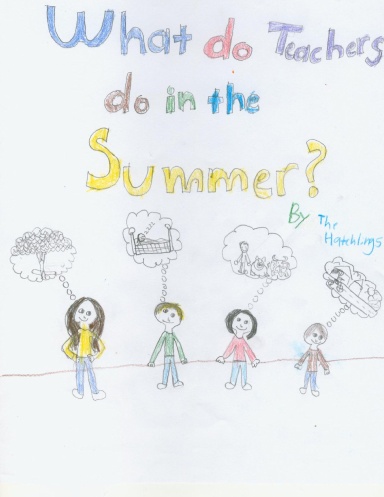What Do Teachers Do in the Summer?