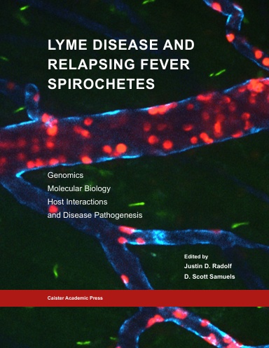 Lyme Disease and Relapsing Fever Spirochetes