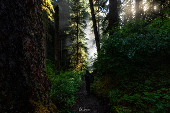 mike lawrence photo - Books and Publications Spotlight | Lulu