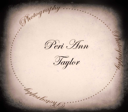 Peri Taylor - Books and Publications Spotlight | Lulu