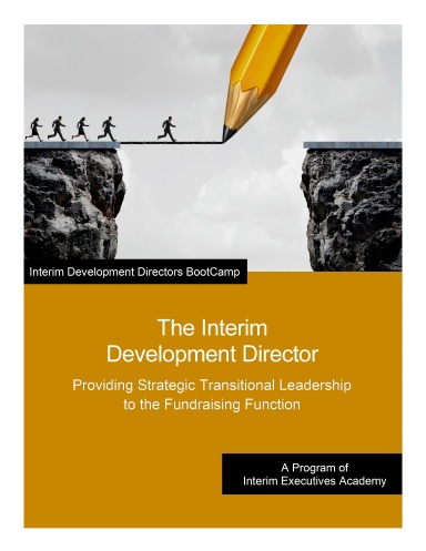 The Interim Development Director