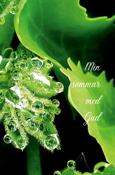 Min sommar med Gud, årsoberoende dagbok