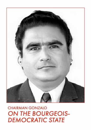 On the Democratic-Bourgeois State