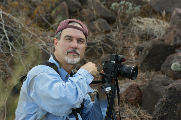 Howard Paley - Books and Publications Spotlight | Lulu