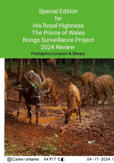 Bongo Surveillance Project 2024 Review