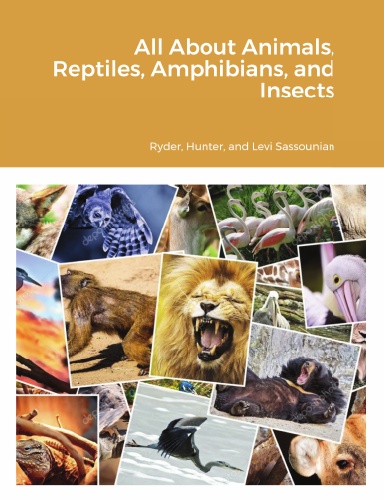 All About Animals, Reptiles, Amphibians, and Insects
